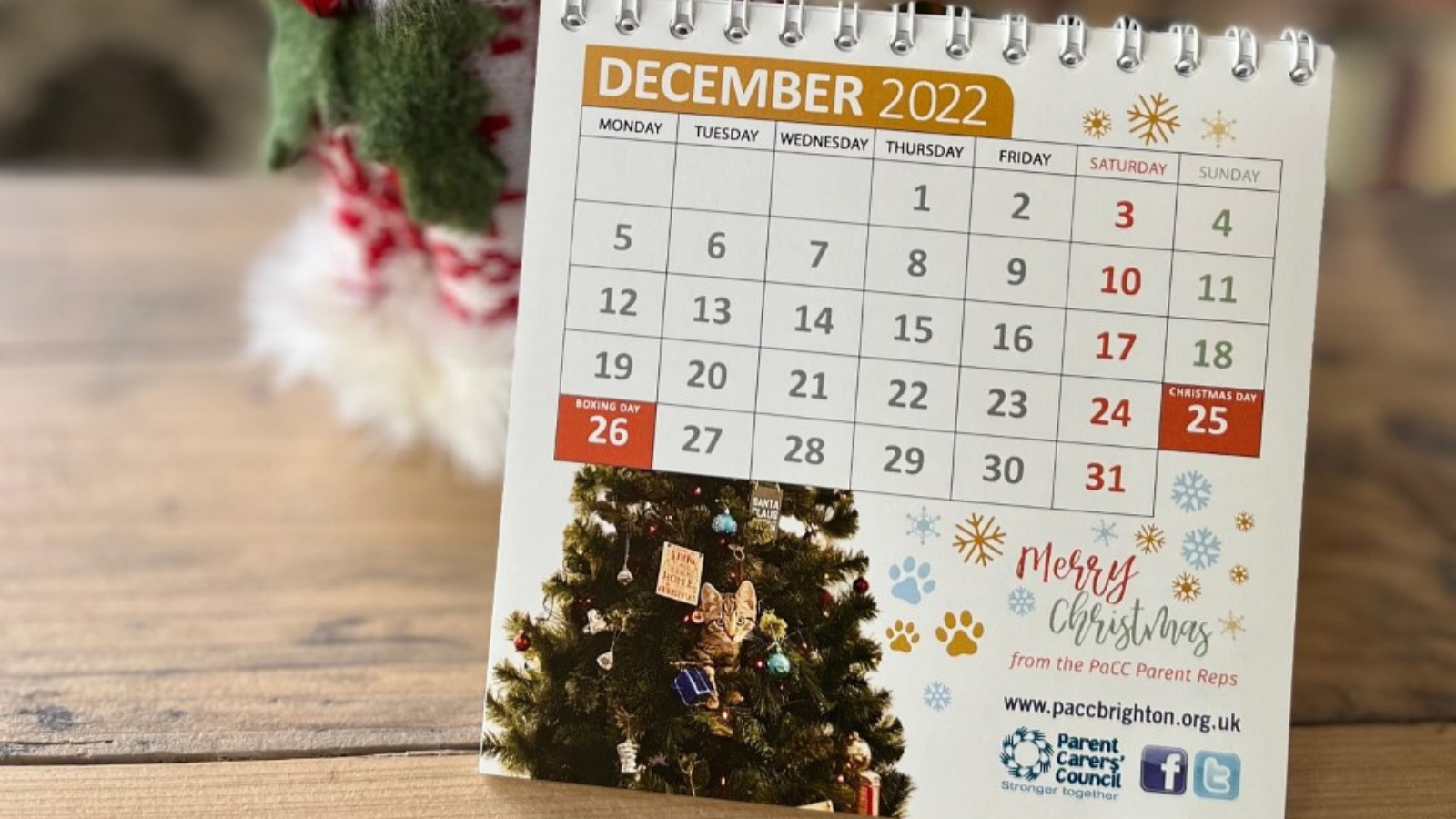 PaCC Calendar 2023 - PaCC | Brighton and Hove’s forum for parent carers
