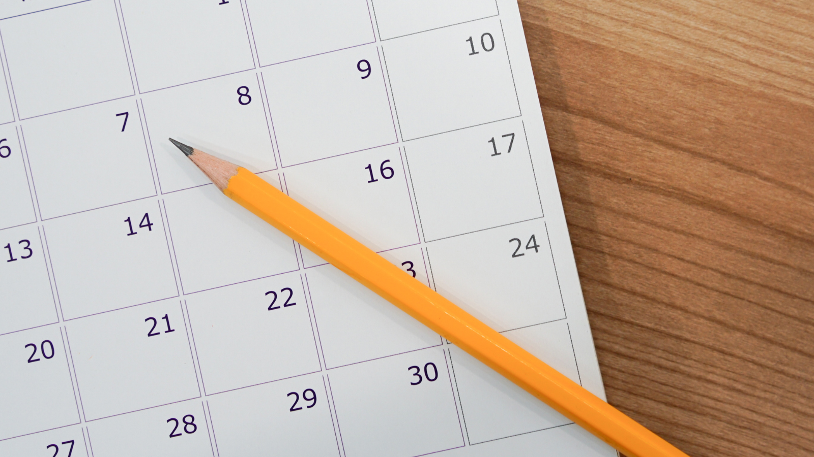 PaCC Calendar 2024: Call for Entries! - PaCC | Brighton and Hove’s ...